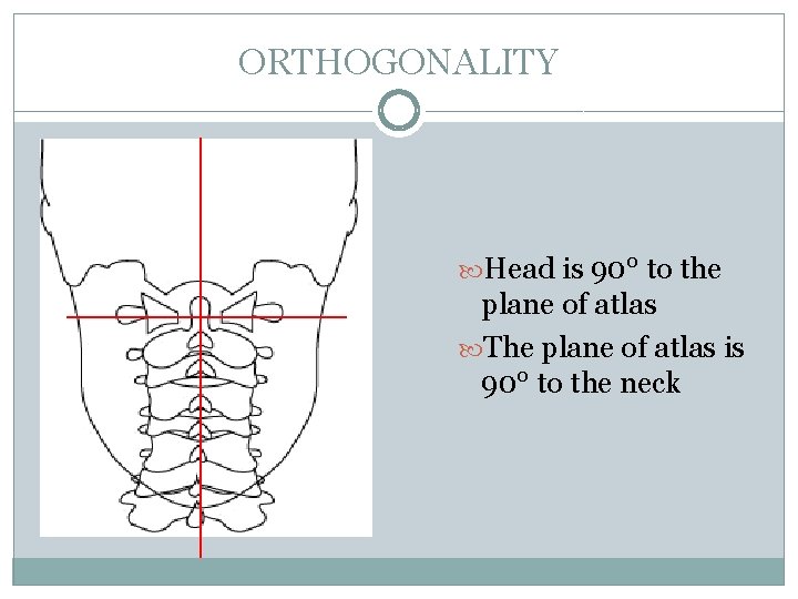 Intro to Biomechanics NUCCA PROTOCOLS AND PERSPECTIVES A