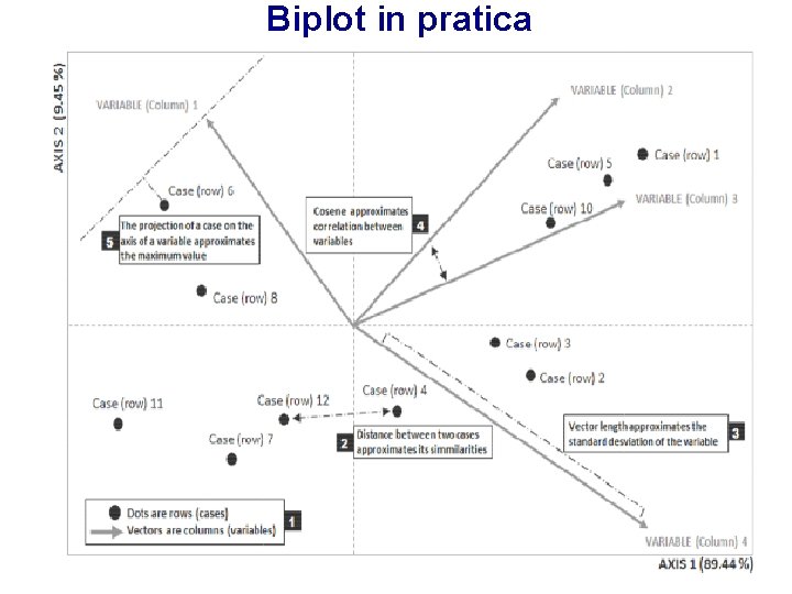 Biplot Consideriamo una matrice di dati con n