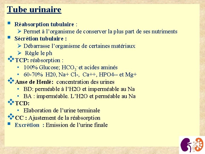 LES SYNDROMES EN NEPHROLOGIE Pr S ZEMMOUCHI Mdecin