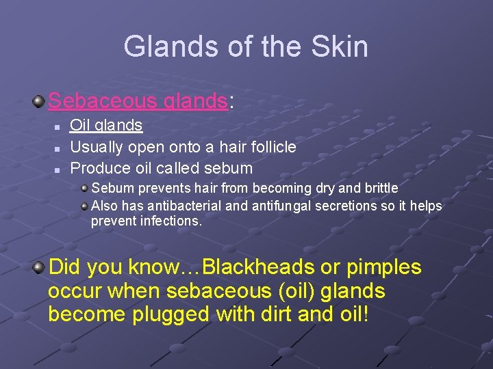 Integumentary System Introduction Layers of the Skin Glands