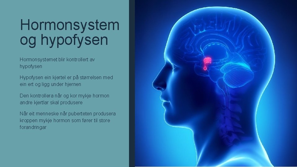 HORMONSYSTEM ET Hormon er kjemiske signal sendt fr