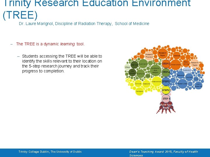 The Trinity Research Education Environment TREE Dr Laure