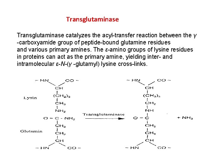 Lecture 9 Protein crosslinking in food structure and