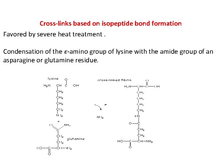 Lecture 9 Protein crosslinking in food structure and
