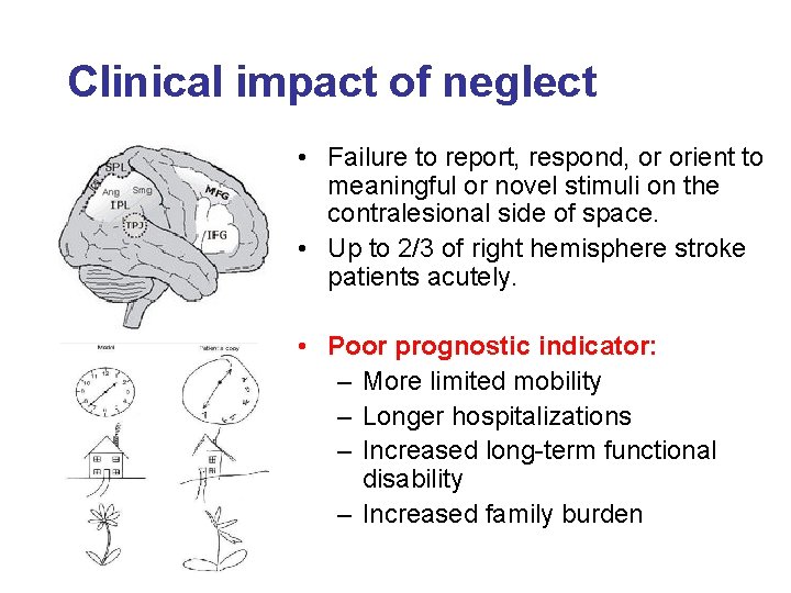 Noninvasive Brain Stimulation in the Investigation and Treatment
