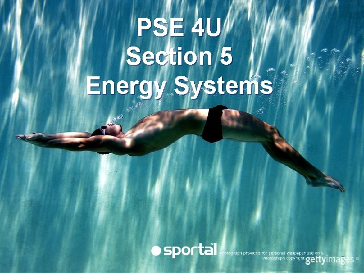 PSE 4 U Section 5 Energy Systems Wayne