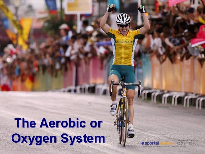 PSE 4 U Section 5 Energy Systems Wayne