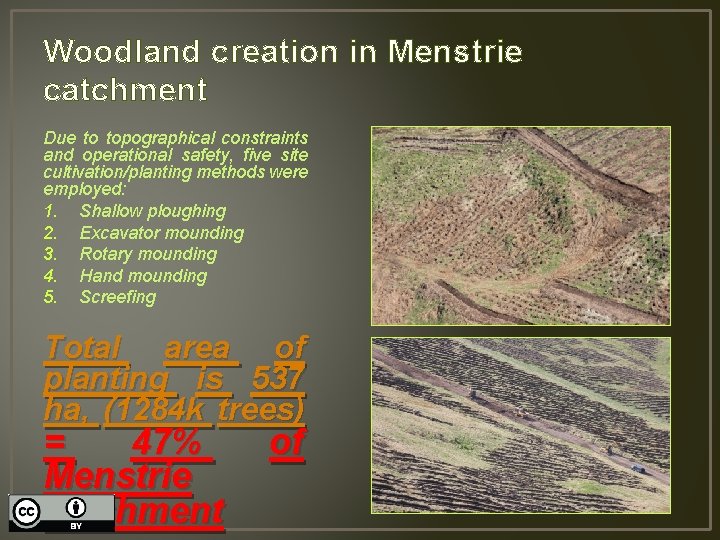 Runoff characteristics of different cultivations in Menstrie catchment