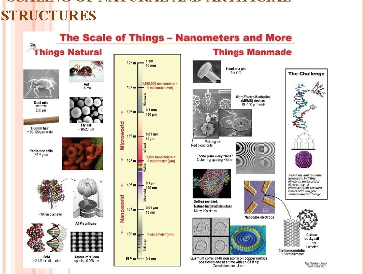 SCALING OF NATURAL AND ARTIFICIAL STRUCTURES EFFECTS OF