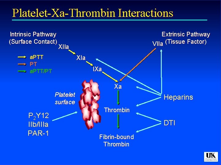 Antiplatelet Effects of Anticoagulants Potential of Oral Factor