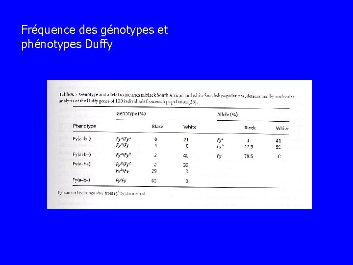 LES GROUPES SANGUINS ERYTHROCYTAIRES Dr Sylvie Gross responsable