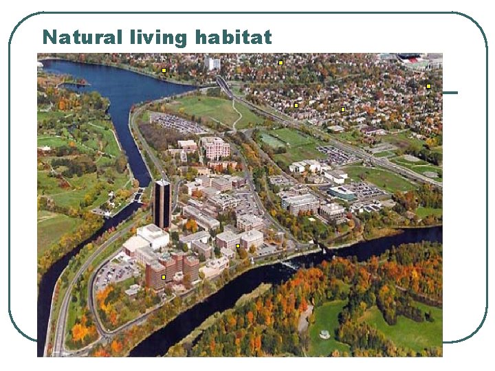 Smart Medical Home Israel Gannot BioMedical Engineering Department