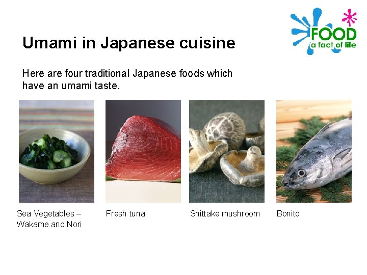 Umami What is umami Umami is a savoury