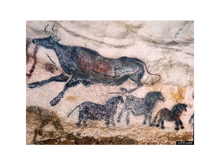 Cave Paintings of Altamira Lascaux and ChauvetPort dArc