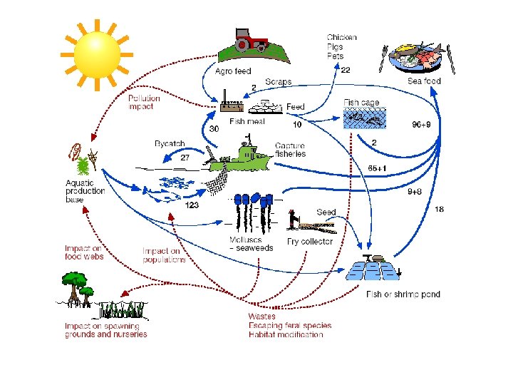 6 8 MARICULTURE 6 8 MARICULTURE ocean ranching