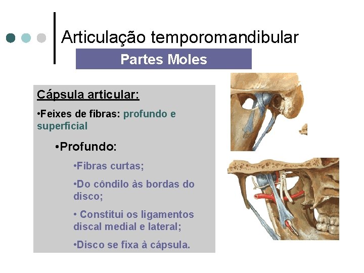Articulao temporomandibular Ana Cristina Antunes Articulao ...