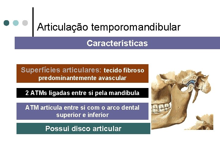 Articulao temporomandibular Ana Cristina Antunes Articulao ...