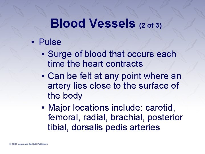 Chapter 3 The Human Body The Human Body