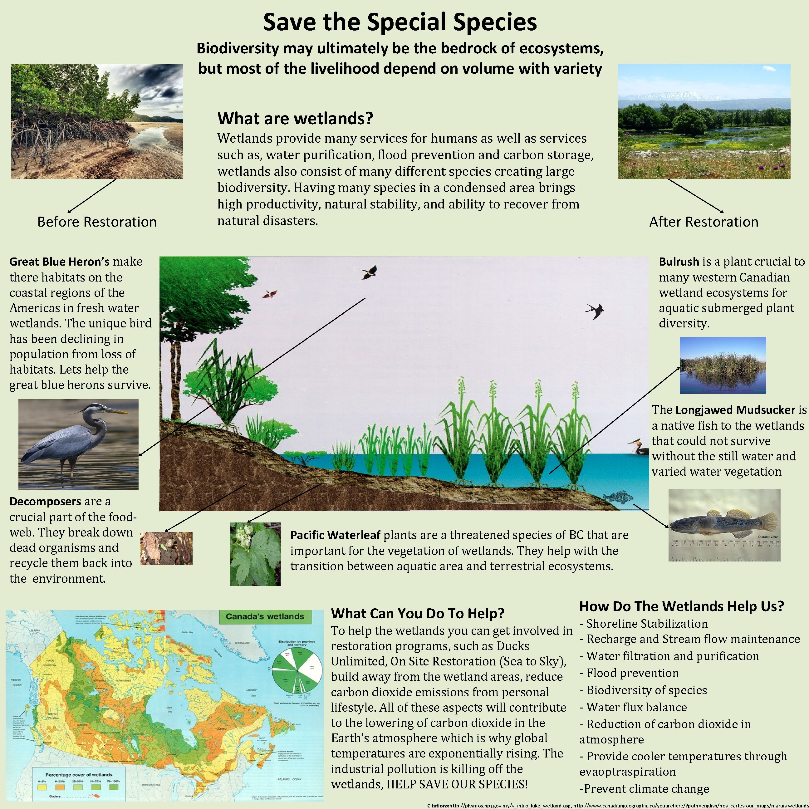 Save the Special Species Biodiversity may ultimately be