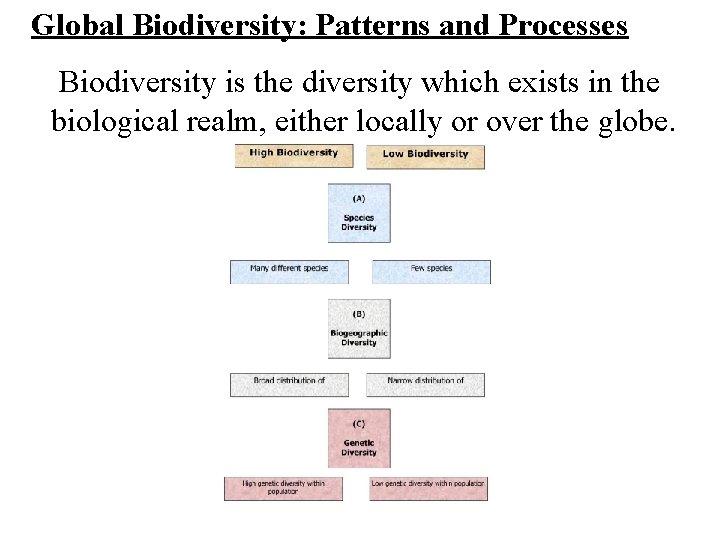 Biodiversity Conservation Biology 55 437 Lecture 3 Feb