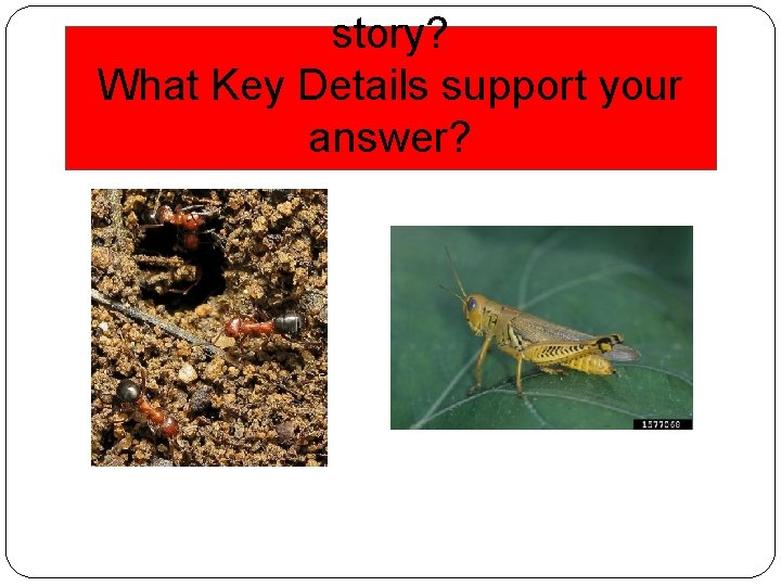 Referencing the Text 3 RL 2 Recount stories