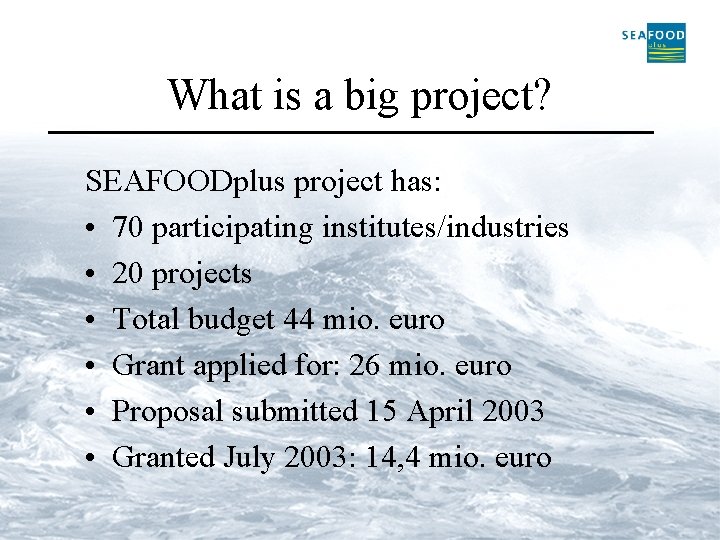 What is a big project SEAFOODplus project has