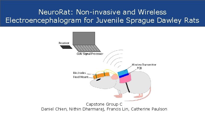 Neuro Rat Noninvasive and Wireless Electroencephalogram for Juvenile