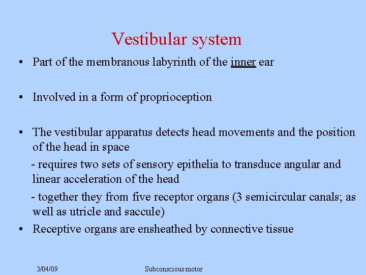 Vestibular system Part of the membranous labyrinth of