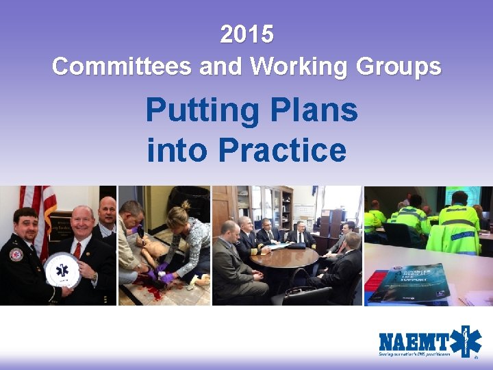 2015 Committees and Working Groups Putting Plans into