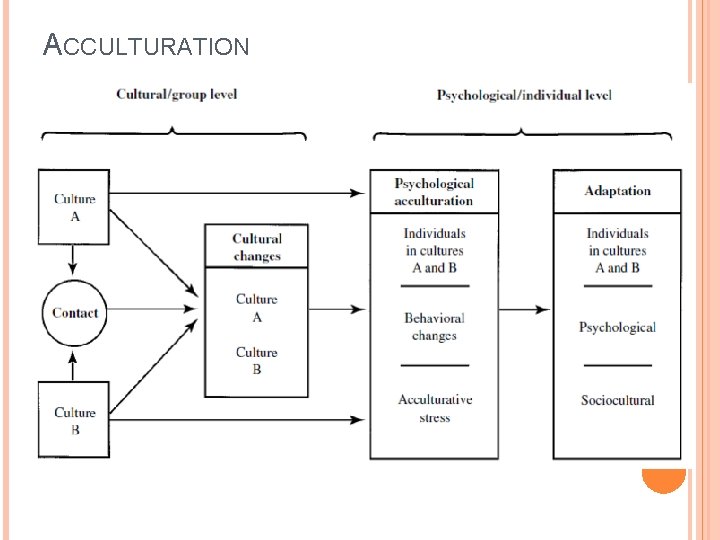 LECTURE 6 Intercultural communication and training ORGANIZATION Rest