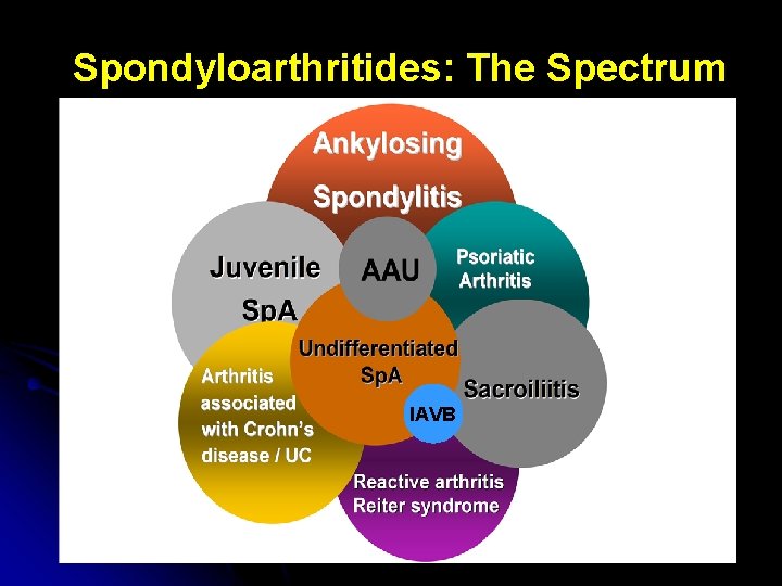 Seronegative Spondyloarthritides Kathryn Dao MD Presbyterian Hospital ...