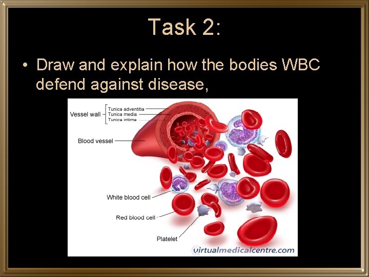 Task 1 our bodies natural barriers to disease