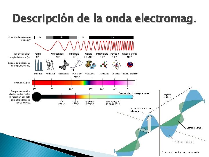 Propagacin en entornos urbanos 2019 programa Programa Ondas