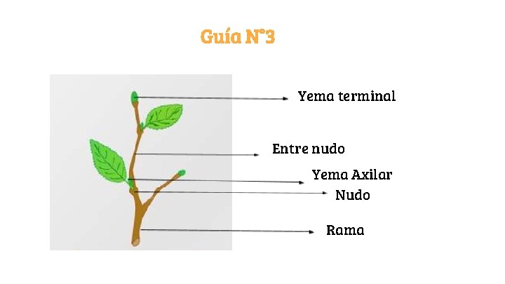 Retroalimentacin Guas Unidad N 2 Iniciacin a la