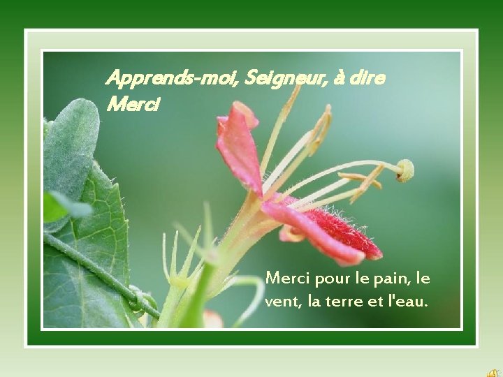 Apprendsmoi Seigneur dire Merci pour le pain le