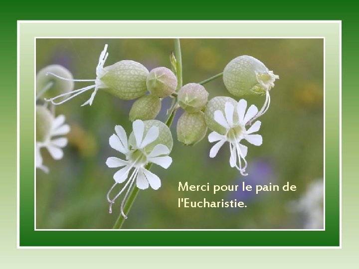 Apprendsmoi Seigneur dire Merci pour le pain le