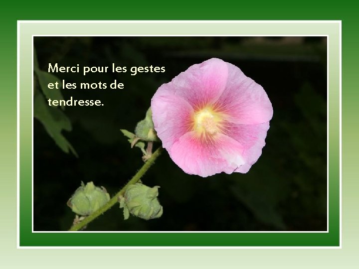 Apprendsmoi Seigneur dire Merci pour le pain le