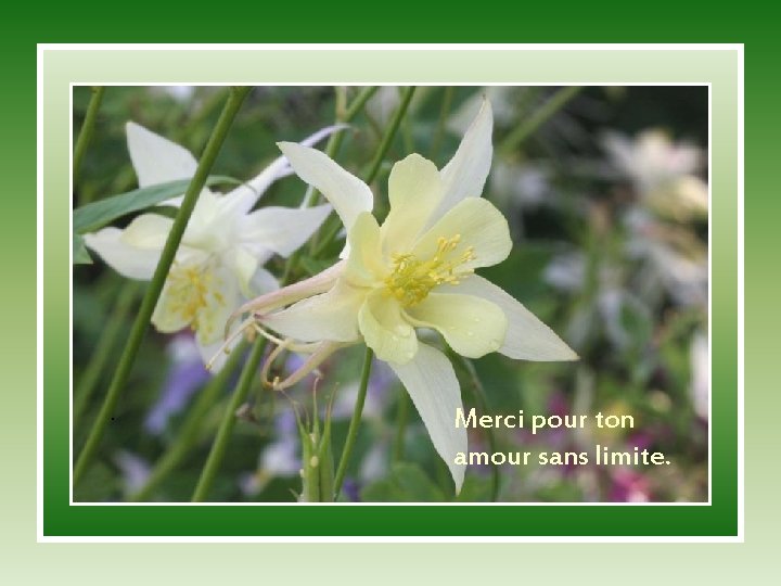 Apprendsmoi Seigneur dire Merci pour le pain le