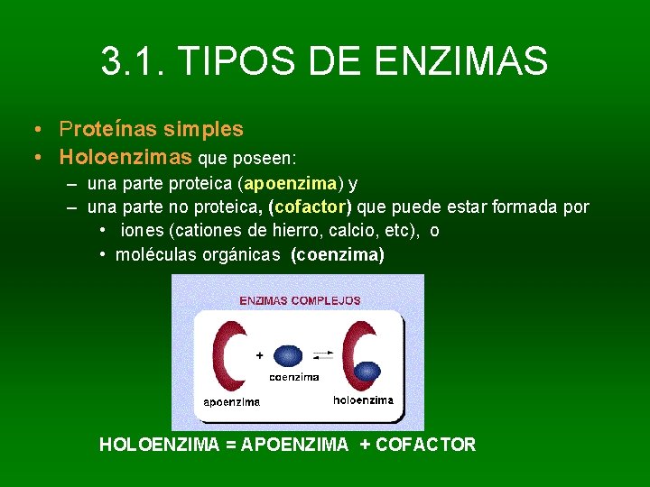 INTRODUCCIN AL METABOLISMO ATP Y ENZIMAS 1 CONCEPTO