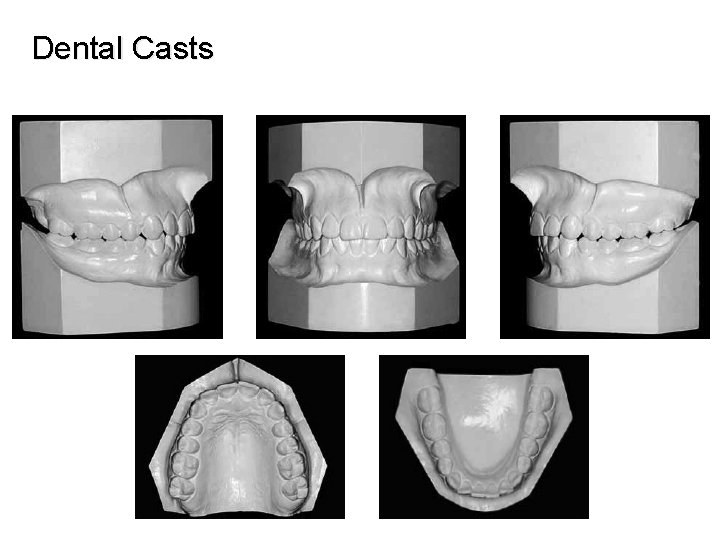 Orthodontics ORTH 522 Introduction Bhoomika Ahuja DDS MS