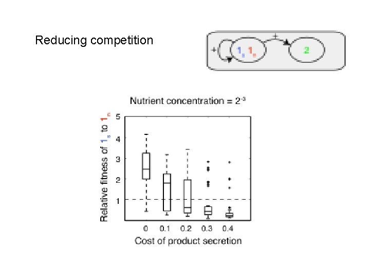 Individualbased models of social evolution in biofilms Sara