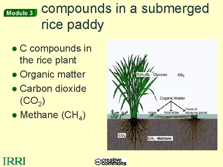 e Modul 3 Carbon and Organic Matter This