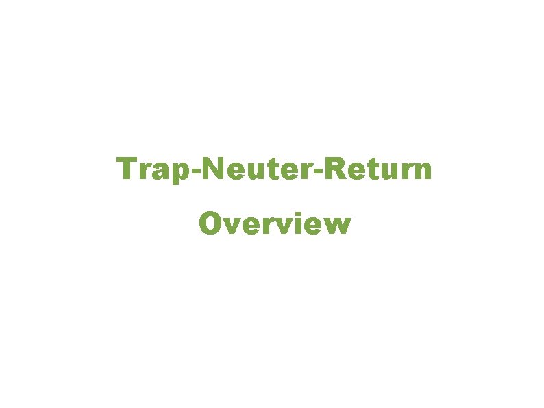 Welcome to the Community Cat TrapNeuterReturn TNR Public