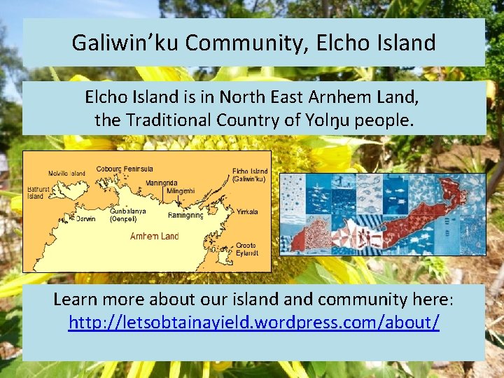 Our Garden and Sustainability Program 2014 Galiwinku Community