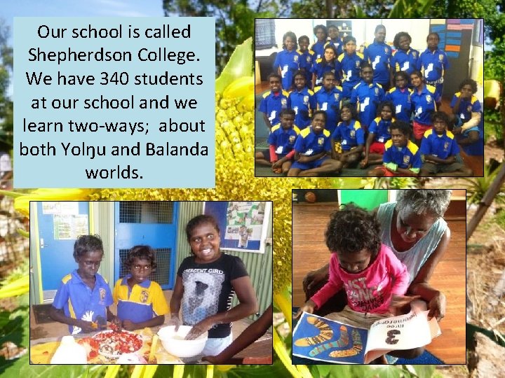 Our Garden and Sustainability Program 2014 Galiwinku Community