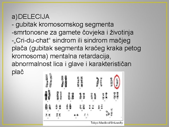 MUTACIJE GENA I KROMOSOMSKE ANOMALIJE MUTACIJA je iznenadna