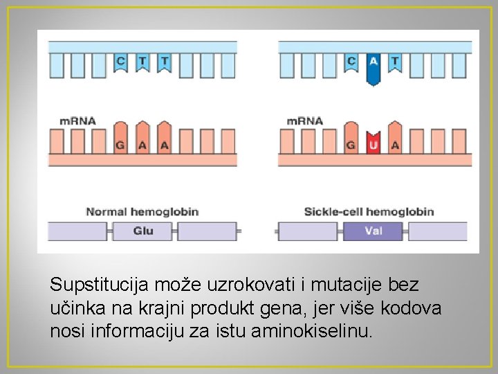 MUTACIJE GENA I KROMOSOMSKE ANOMALIJE MUTACIJA je iznenadna
