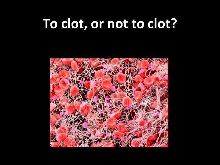 To clot or not to clot To clot