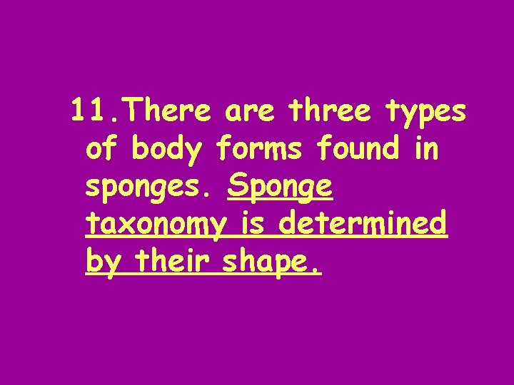 1 Phylum Porifera sponges Characteristics Asymmetrical They have