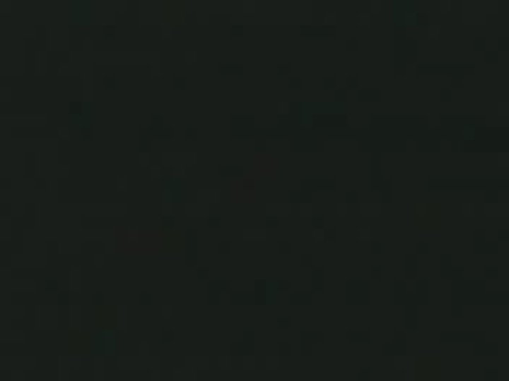 1 Phylum Porifera sponges Characteristics Asymmetrical They have